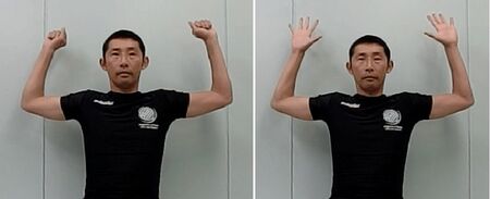 Elevated Arm Stress Test - WikiSM (Sports Medicine Wiki)
