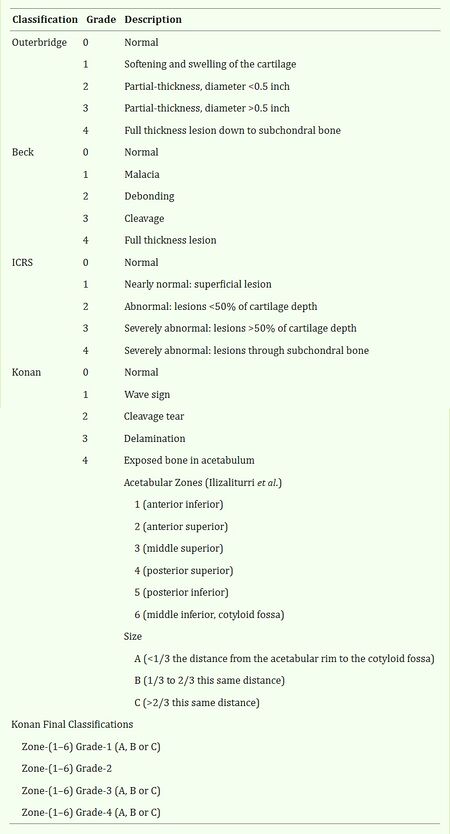 Osteochondral Defect of the Hip - WikiSM (Sports Medicine Wiki)